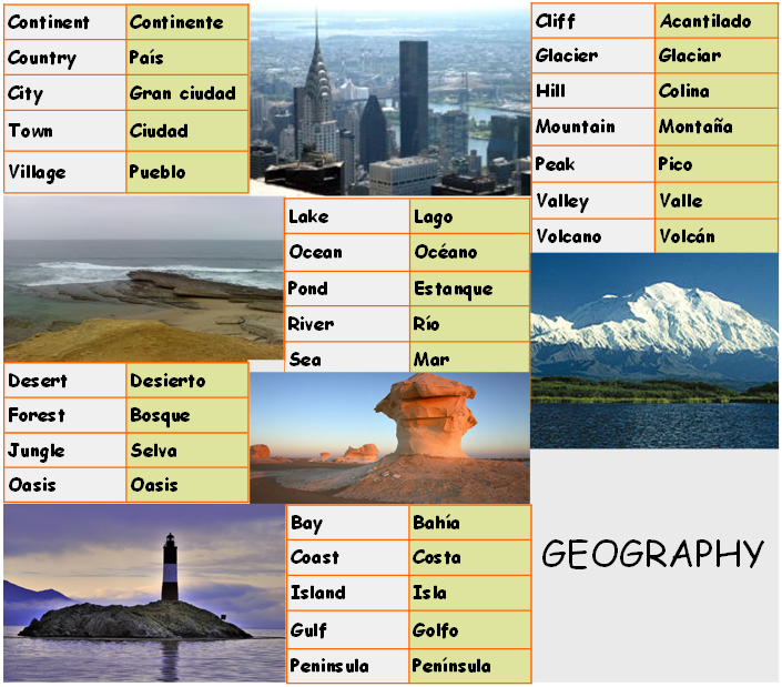 Match these words with their definitions